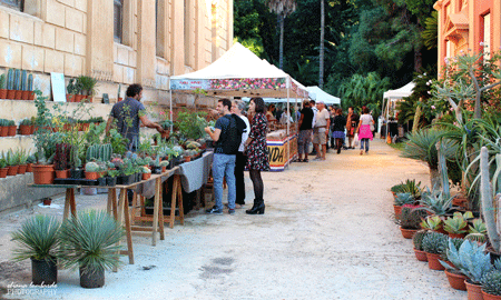 Al via Zagara di Primavera con laboratori passeggiate botaniche e ...