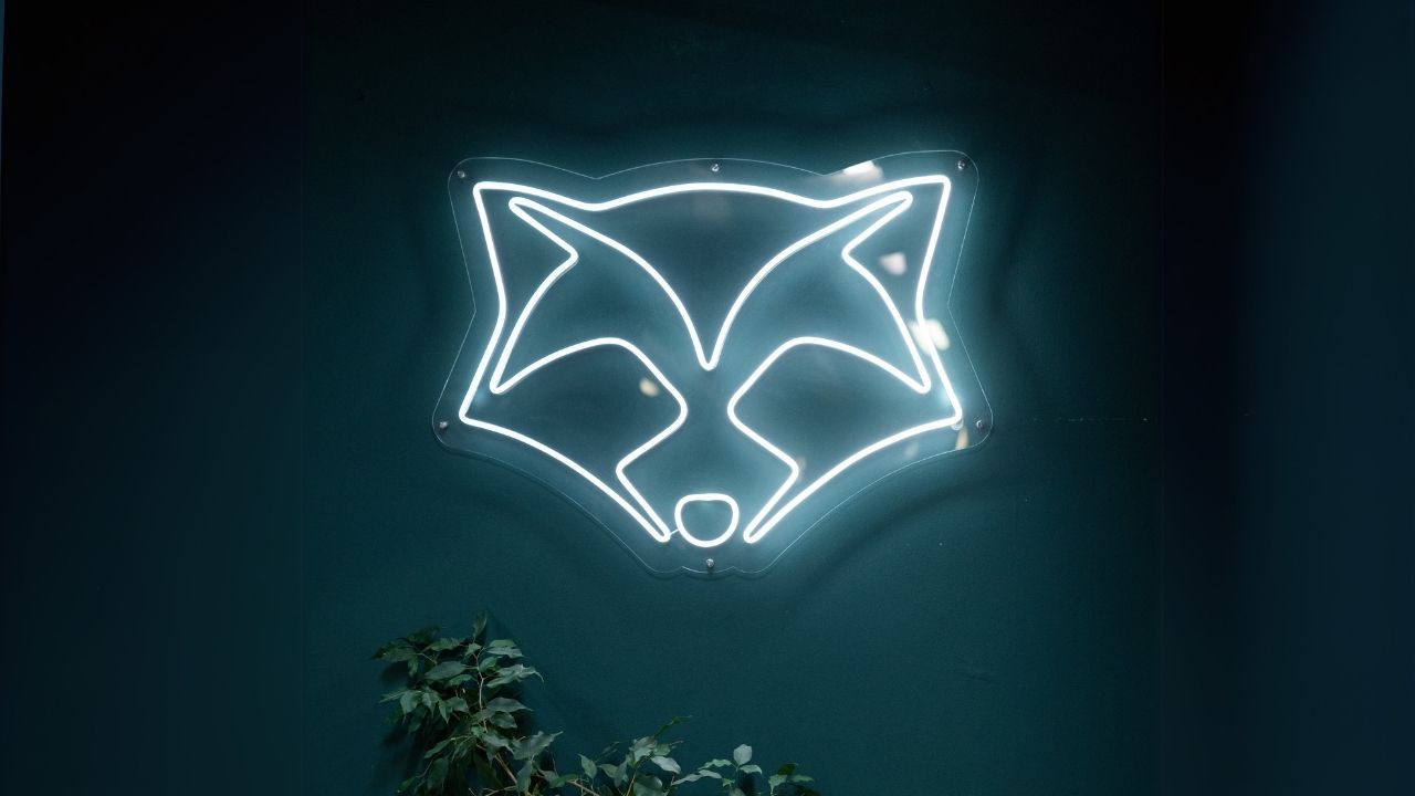 RoomRaccoon, il recap del 2024 tra traguardi, crescita e innovazione ...